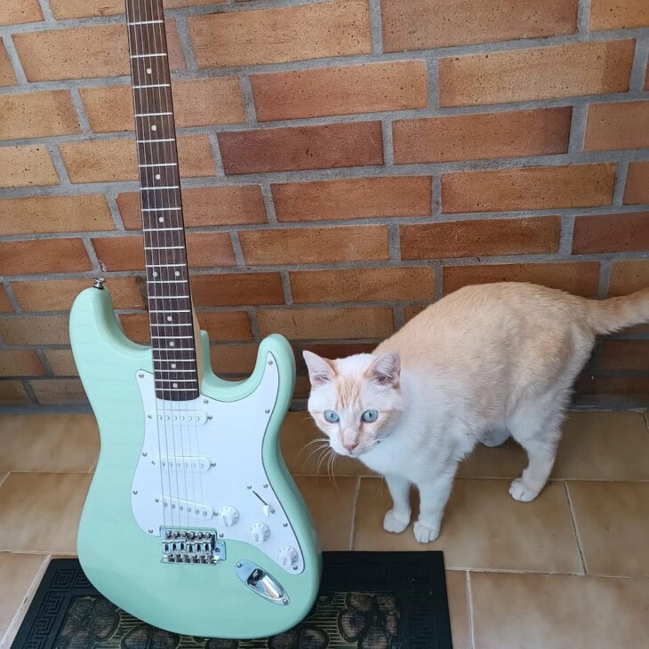 Best Stratocaster Colors - 11 Most Popular Strat Colors!