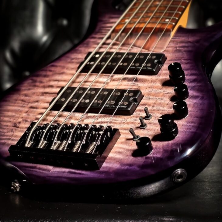Best 6-String Bass Guitars for the Demanding Bassists!