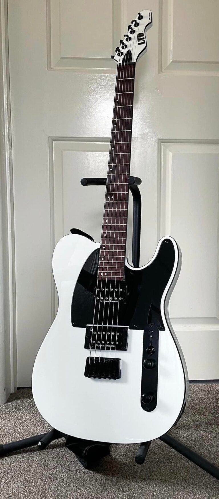 ESP LTD TE-200 Review: The Ultimate Shredders’ Tele?