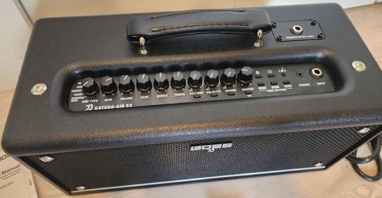 6 Best Battery Powered Bass Amps for Practice, Busking & More!