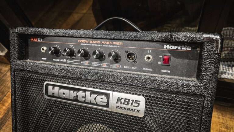 7 Best Bass Amps for Gigging – Combo Amps & Heads!